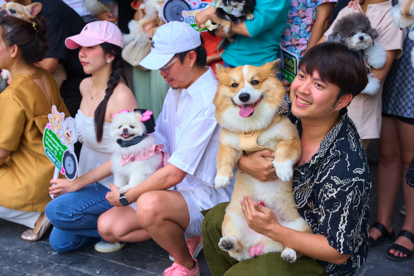 Yuzu Suki สาขาทองหล่อ เปิดตัว Pet Friendly Zone ต้อนรับสัตว์เลี้ยงตัว ...
